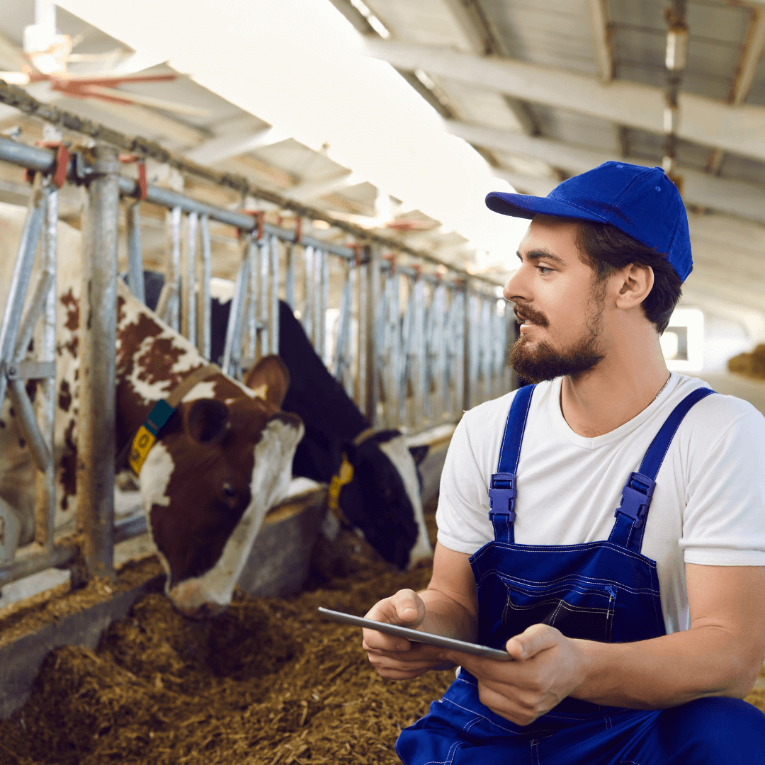 Importance of Record Keeping in Cattle Farming: Tips & Tricks